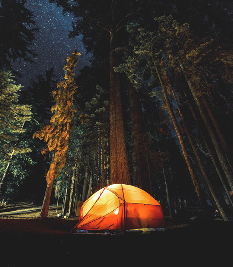 Light Weight Hammock Camping & Backpacking Gear | DutchWare Gear