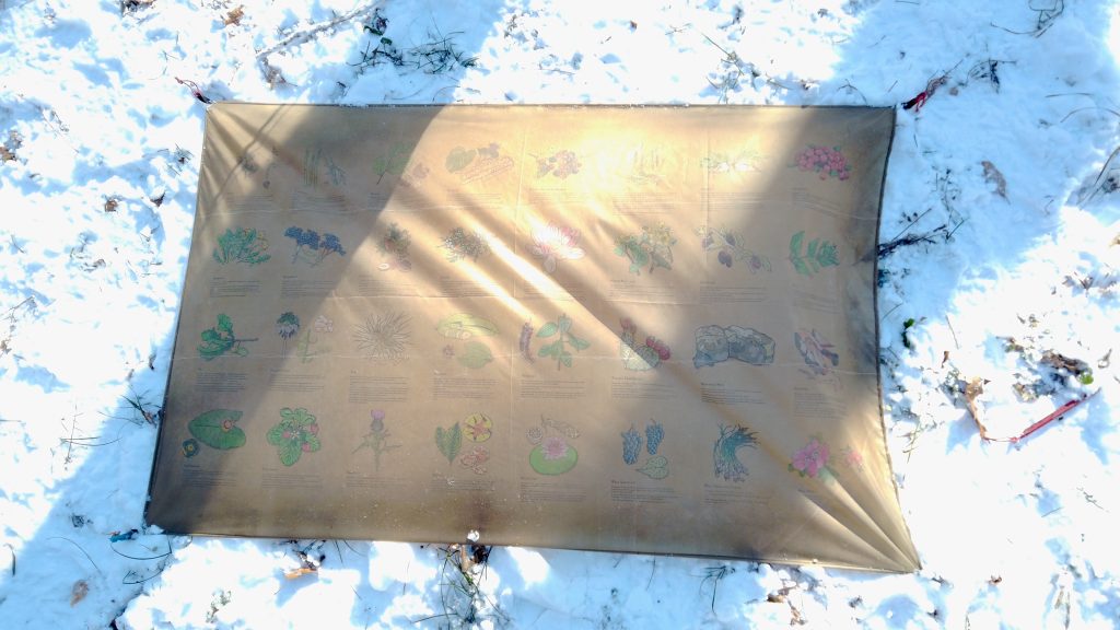 Printed Ground Cloth - Water & Wind Resistant | DutchWare